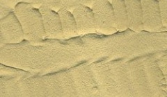 Vallejo - Vallejo Diorama Effects: Desert Sand #VAL-26217 VAL26217 ...
